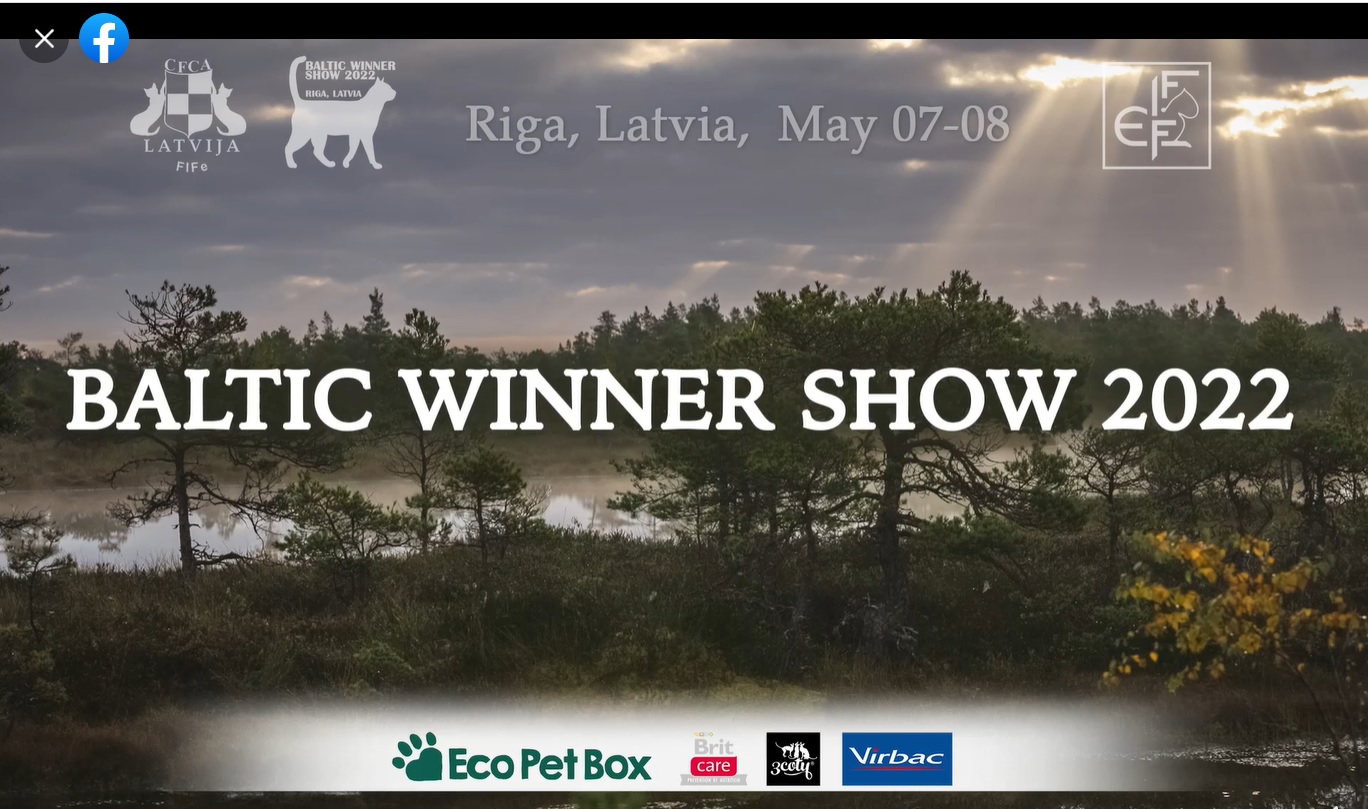 Baltic Winner Show 2022 – Baltic Feline
