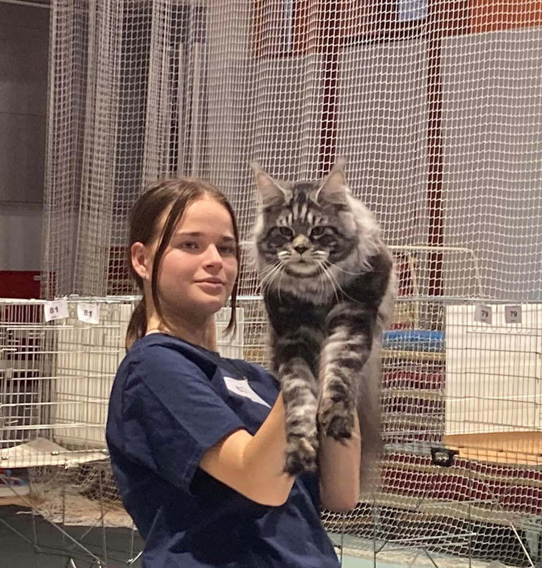 Wystawa Kotów Białystok – Baltic Feline